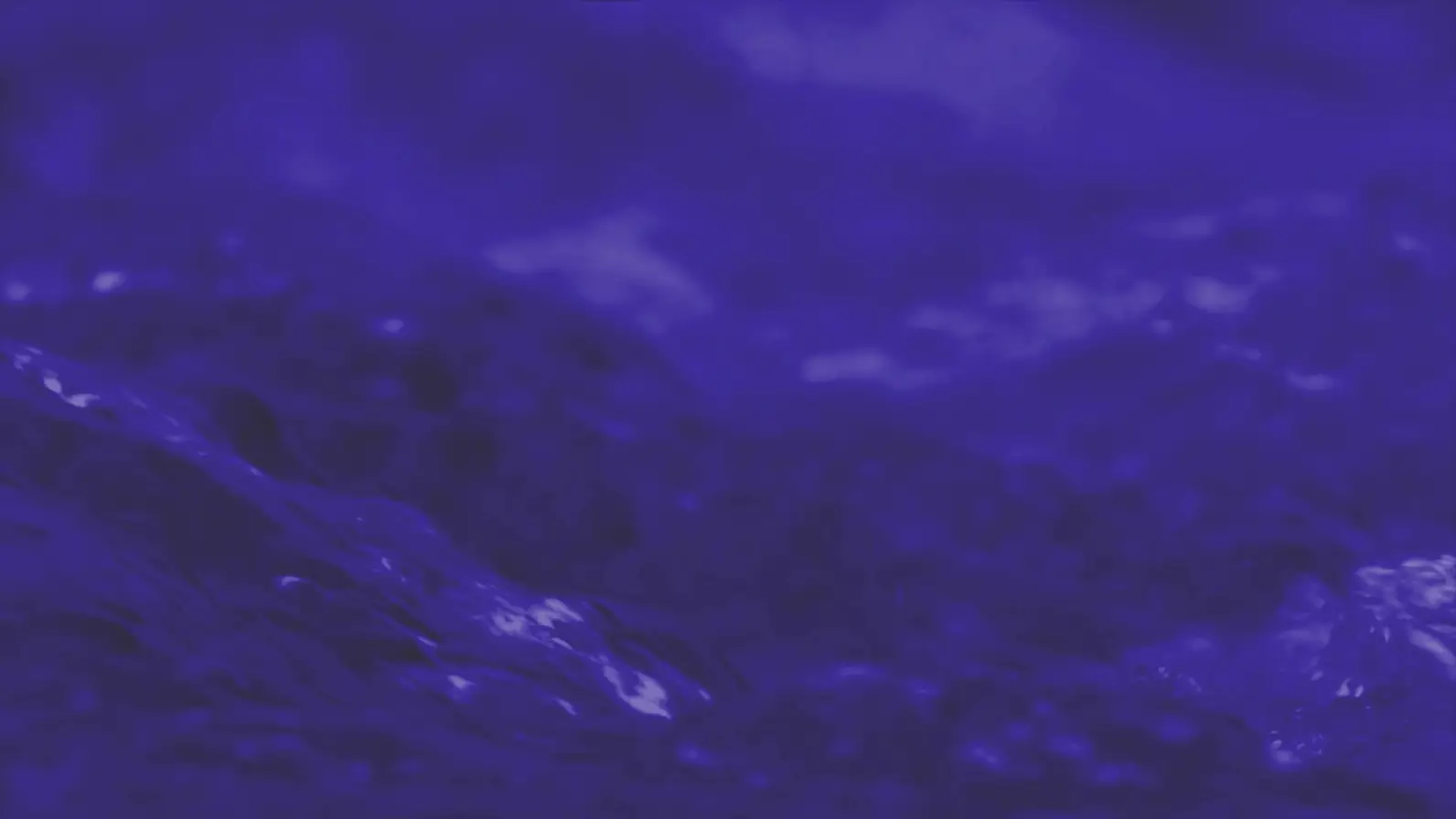 Torrent Purple (2373) Video - YouWorkForThem