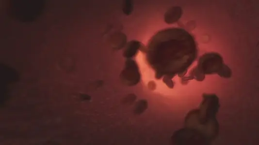 Red Blood Cells 12 - Medical VFX (8521) Video - YouWorkForThem