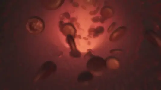 Red Blood Cells 12 - Medical VFX (8521) Video - YouWorkForThem