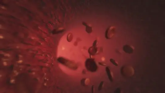 Red Blood Cells 12 - Medical VFX (8521) Video - YouWorkForThem