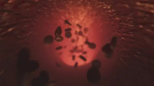 Red Blood Cells 12 - Medical VFX (8521) Video - YouWorkForThem